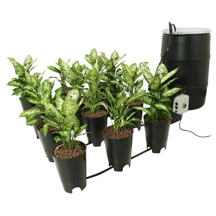 Best Hydroponic Systems in 2025: Buying The System That's Right For You